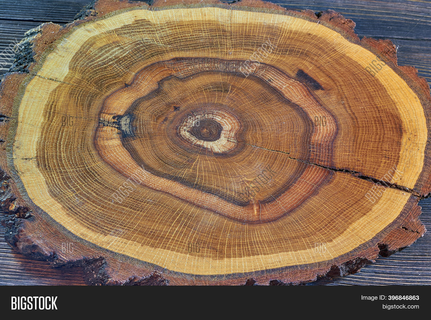 Wood Texture Cut Image & Photo (Free Trial) | Bigstock