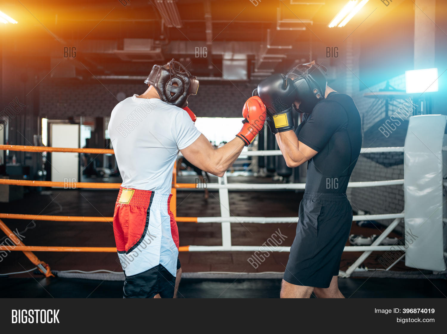 Two Muscle Boxers Image & Photo (Free Trial) | Bigstock