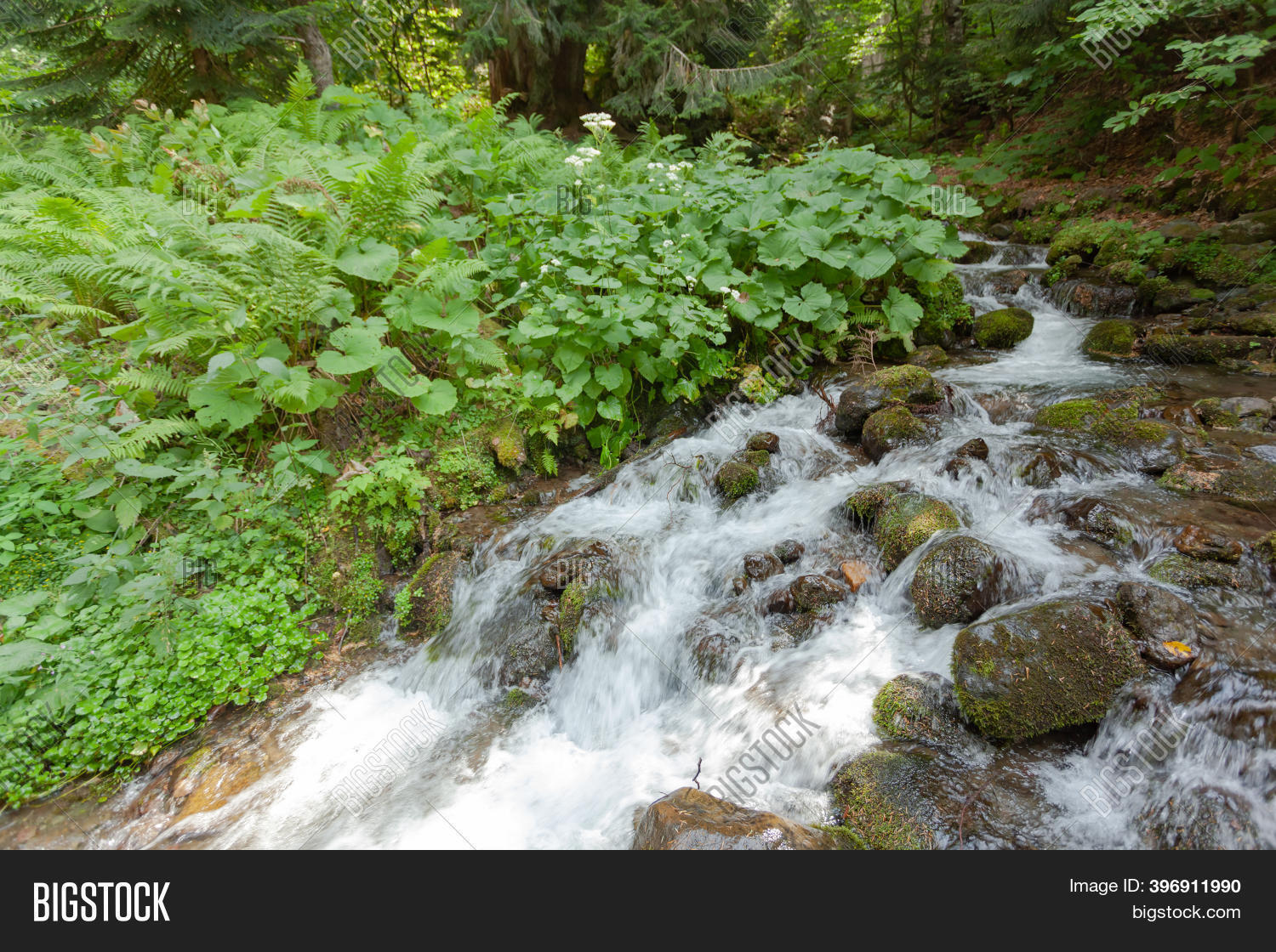 Small Mountain Stream Image & Photo (Free Trial) | Bigstock