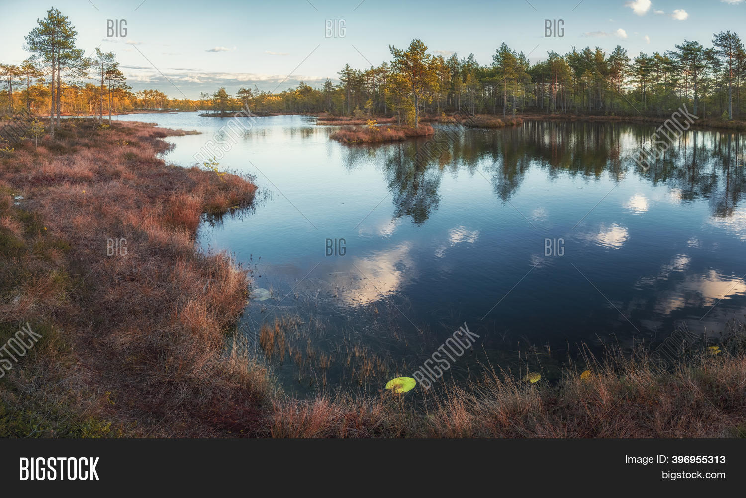 Small Forest Lake Image & Photo (Free Trial) | Bigstock