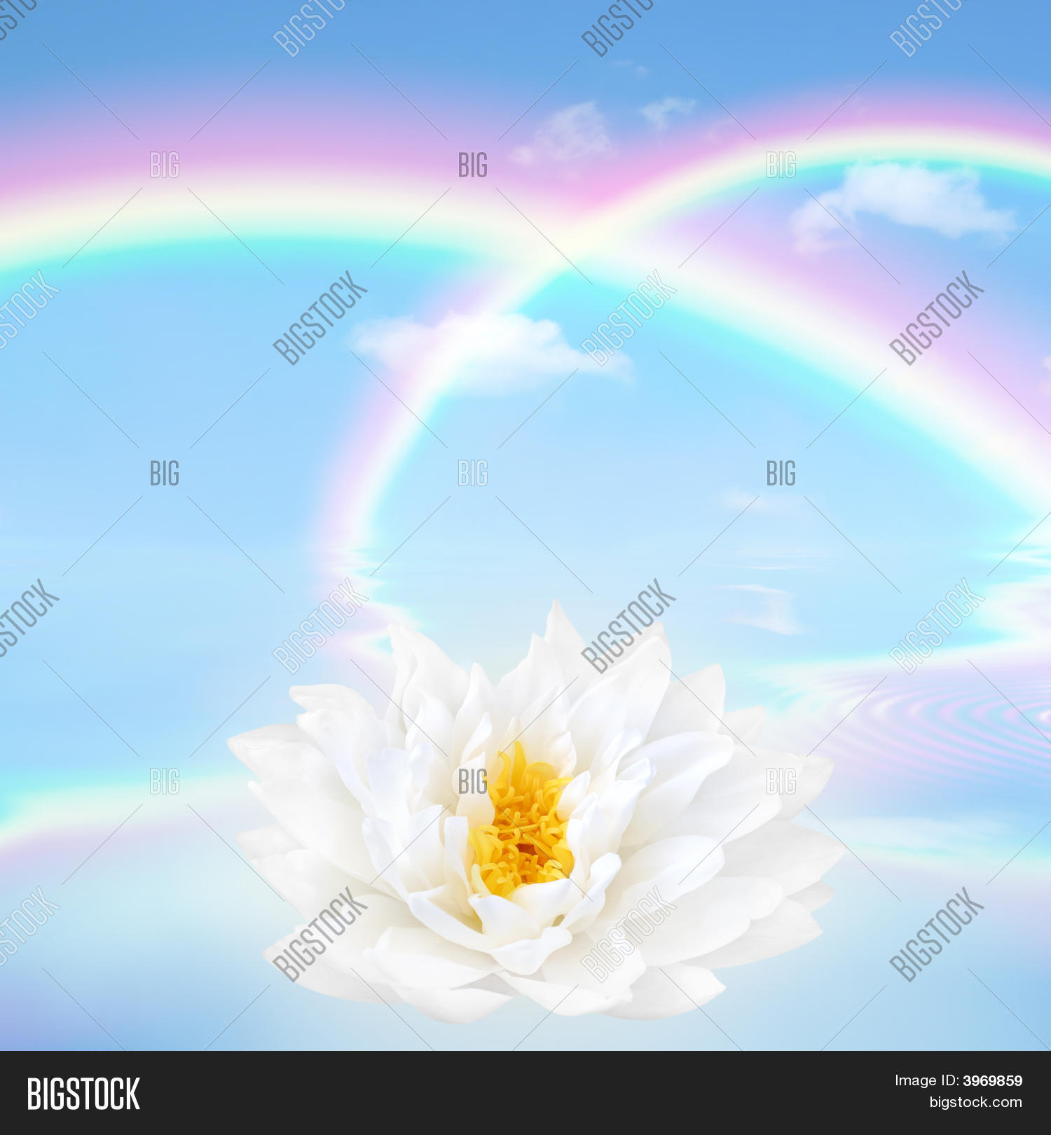 Rainbow Lotus Lily Image & Photo (Free Trial) | Bigstock