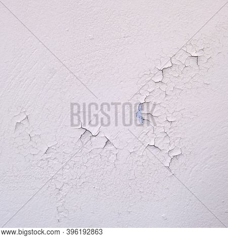 Spoiled Fresh White Image & Photo (Free Trial) | Bigstock