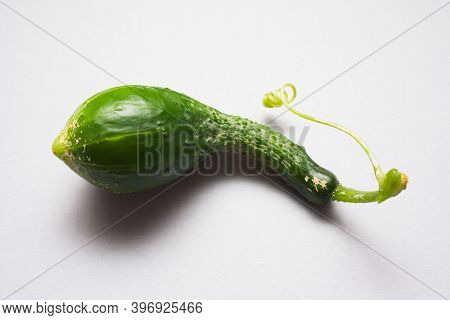 Natural Cucumber Image & Photo (Free Trial) | Bigstock