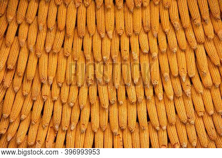 Corn Texture Image & Photo (Free Trial) | Bigstock