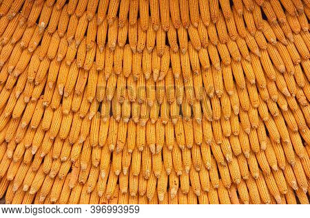 Corn Texture Image & Photo (Free Trial) | Bigstock