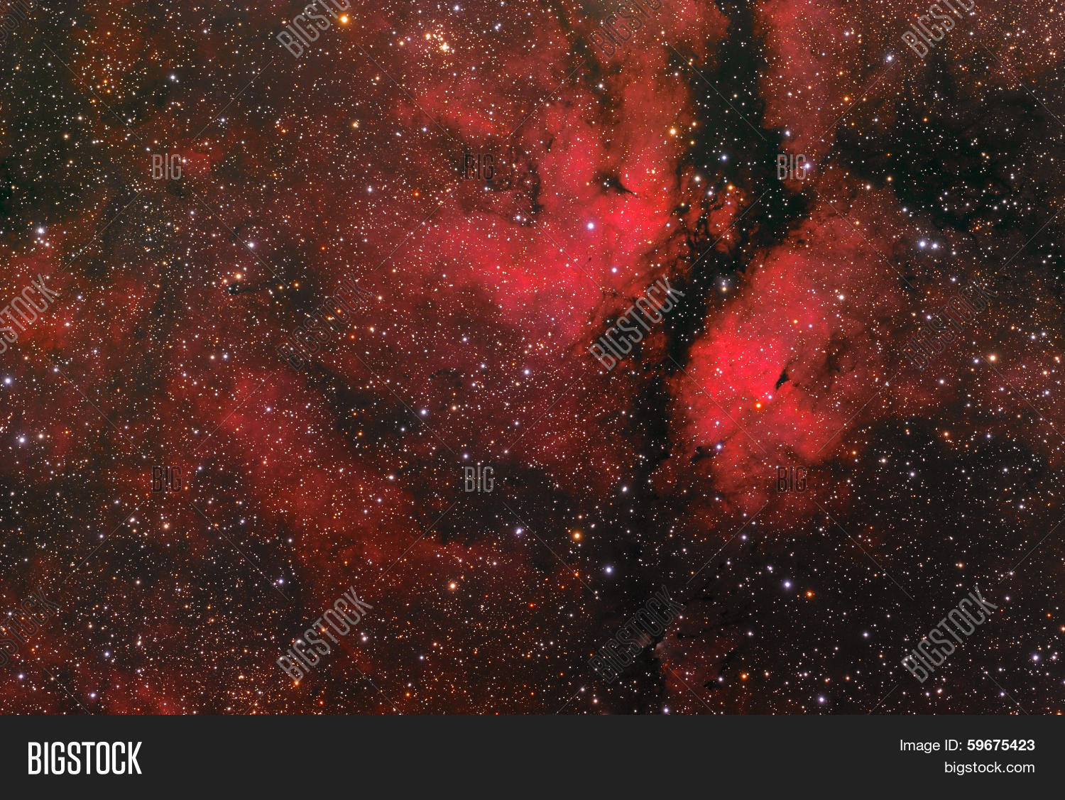 Gamma Cygni Nebula Image & Photo (Free Trial) | Bigstock