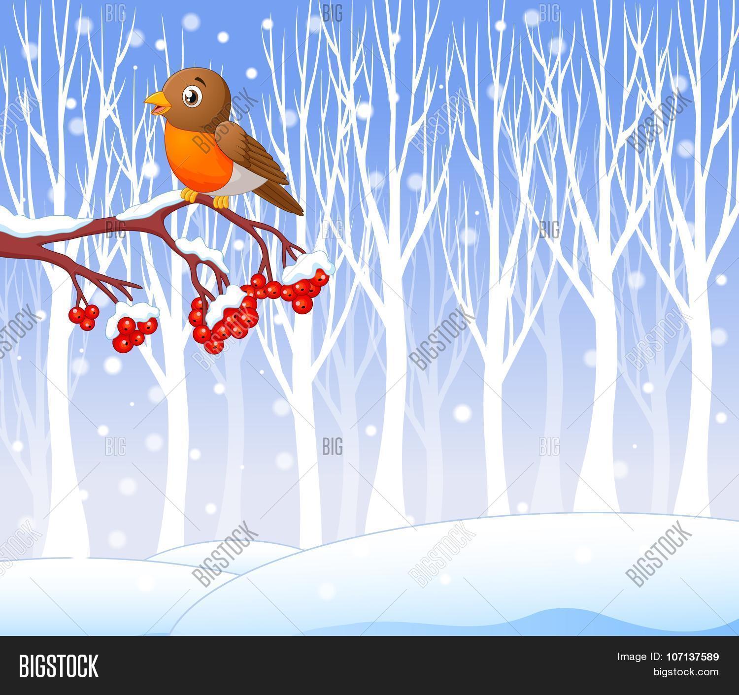 Cartoon Funny Robin Vector & Photo (Free Trial) | Bigstock