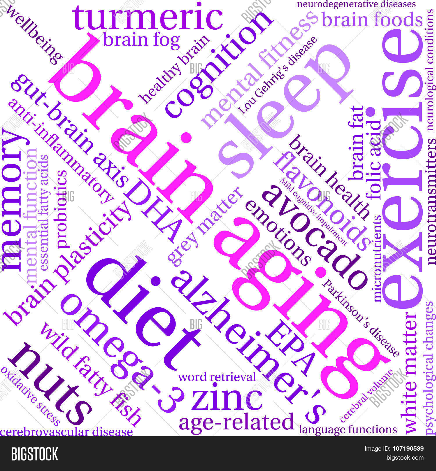 Brain Aging Word Vector & Photo (Free Trial) | Bigstock