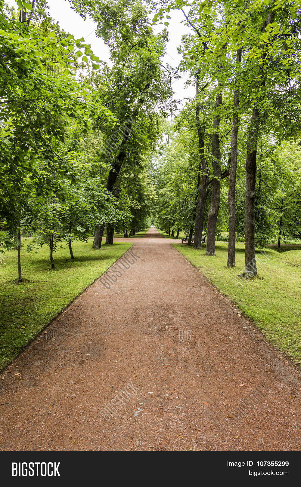 Beautiful Park Path Image & Photo (Free Trial) | Bigstock