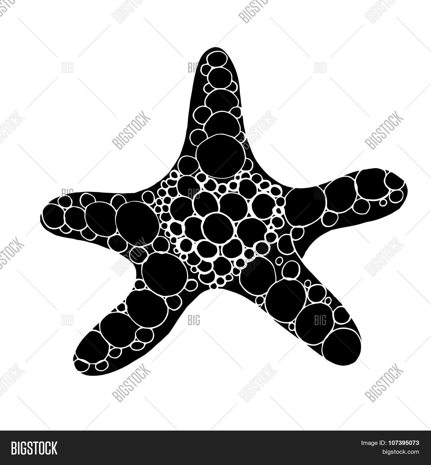 Drawing Sea Star Vector & Photo (Free Trial) | Bigstock
