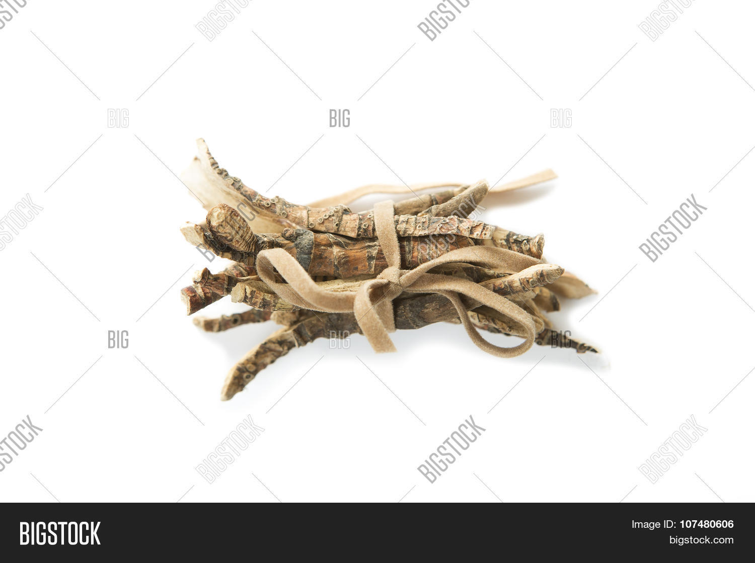 Calamus Root Sweet Image & Photo (Free Trial) | Bigstock