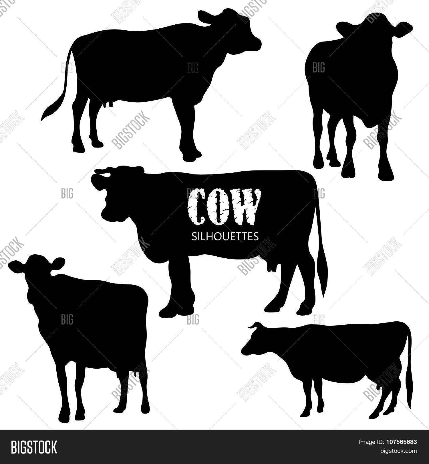 Set Five Cow Vector & Photo (Free Trial) | Bigstock