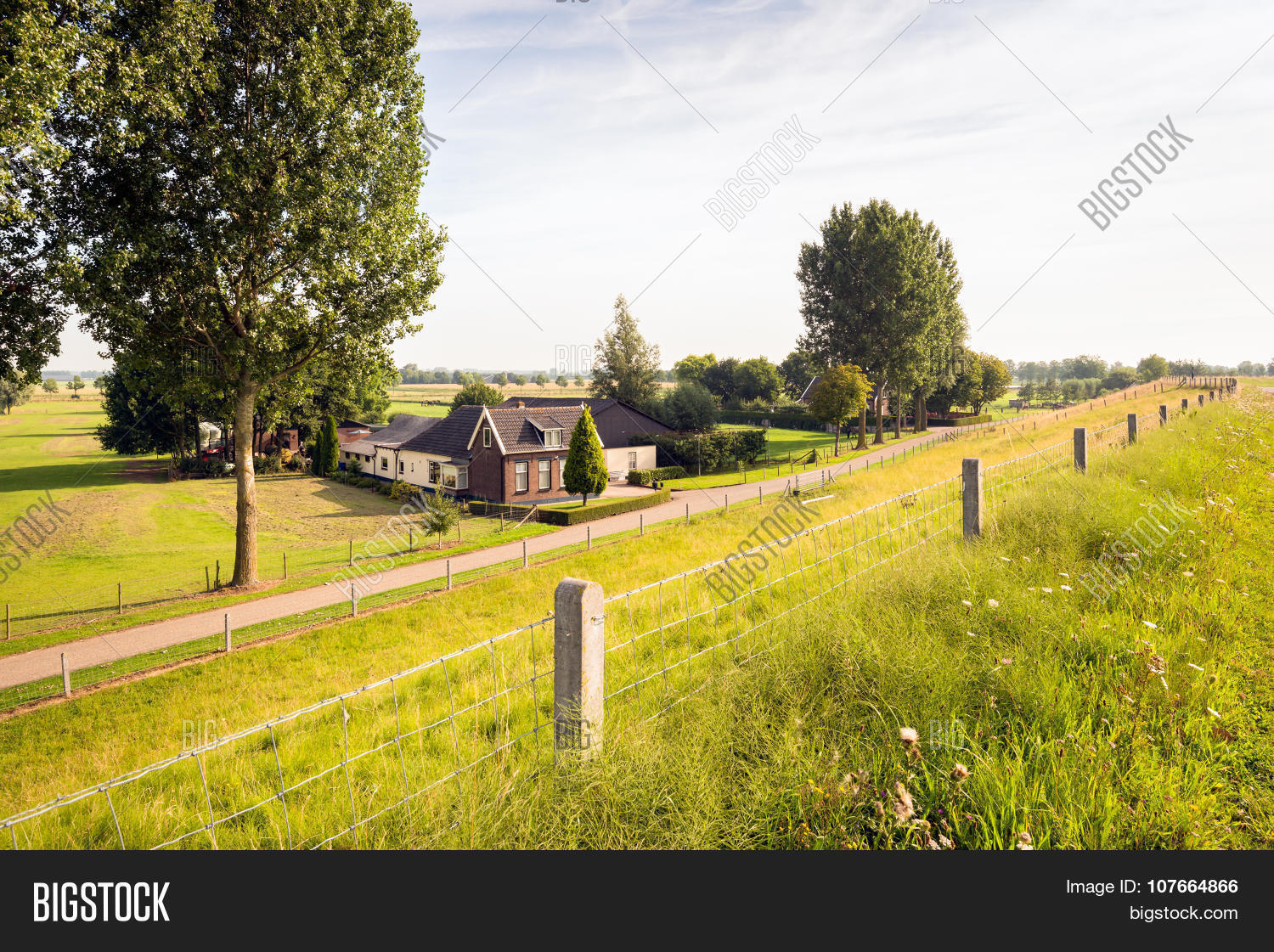 Old Dutch Farm Down Image & Photo (Free Trial) | Bigstock