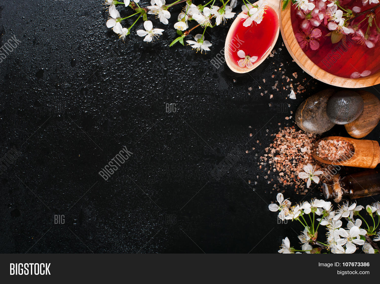 Spa Concept On Dark Image & Photo (Free Trial) | Bigstock