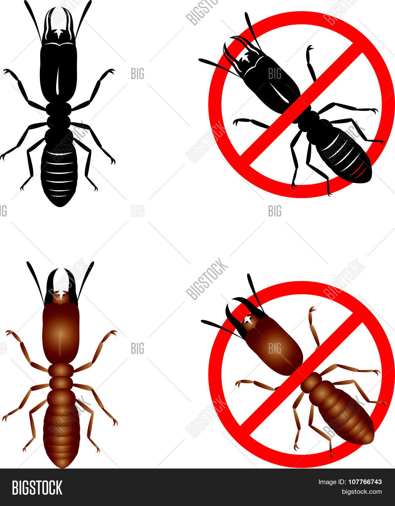 Termite Stop 벡터 및 사진(무료 체험) | Bigstock
