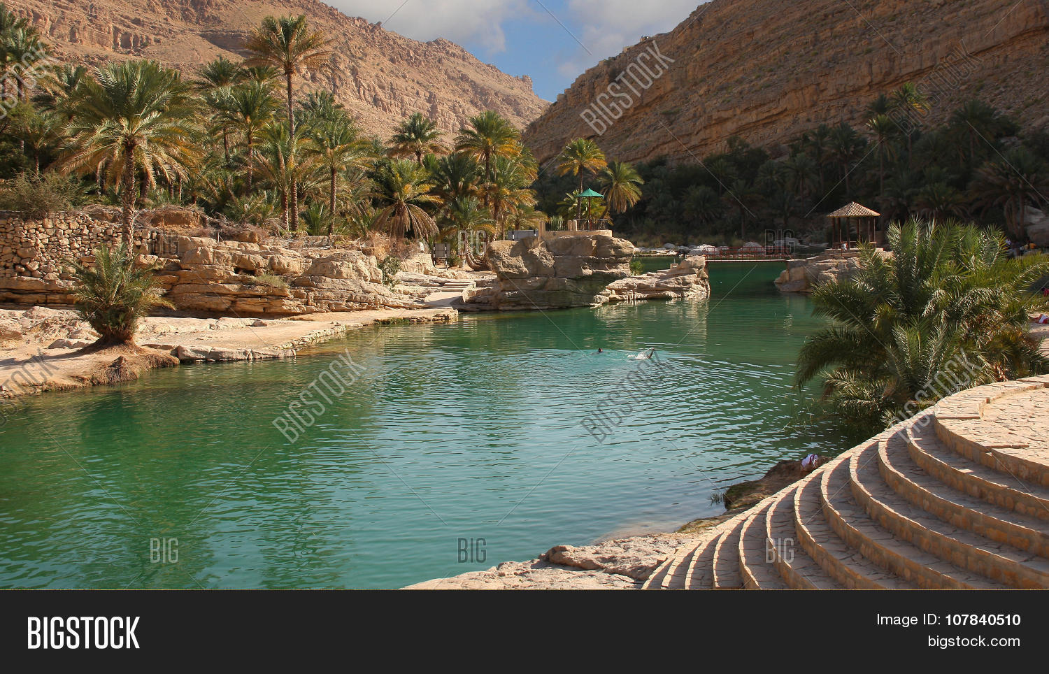 Oasis Image & Photo (Free Trial) | Bigstock