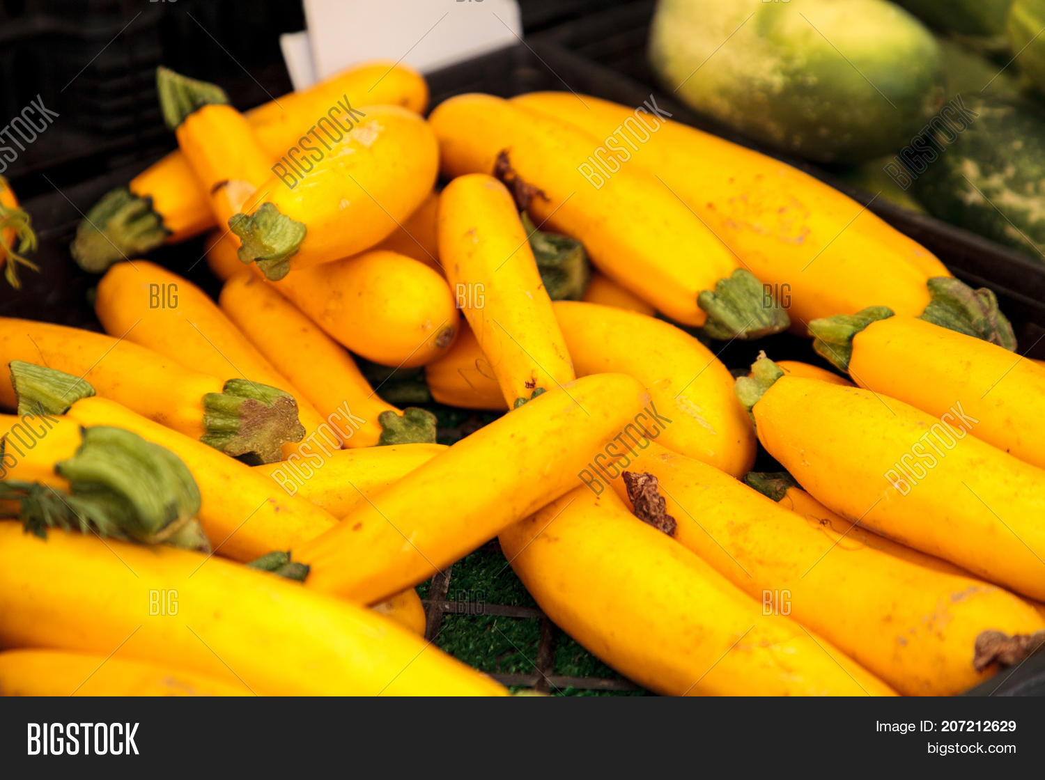 Yellow Zucchini Called Image & Photo (Free Trial) | Bigstock