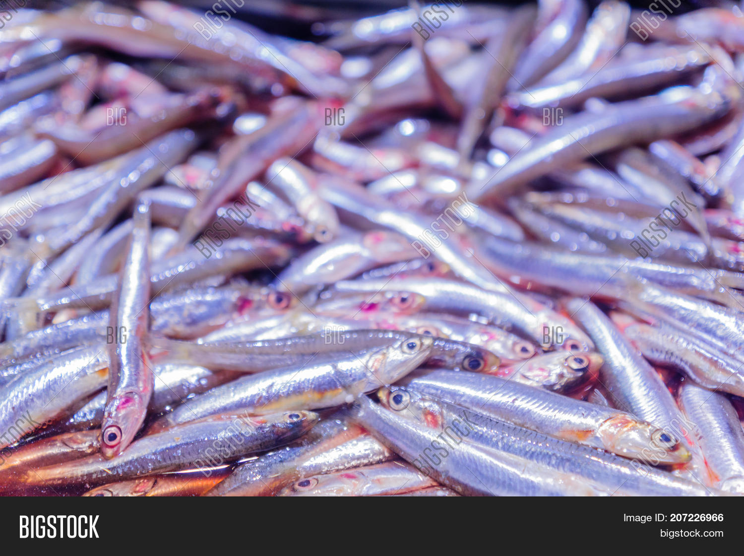 Fish On Sale French Image & Photo (Free Trial) | Bigstock