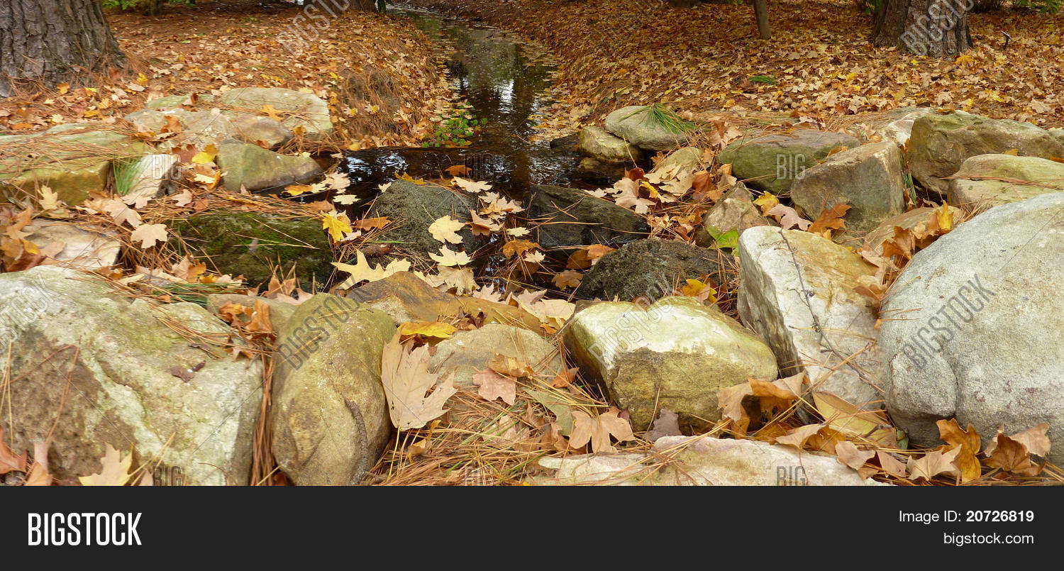 Autumn Pool Image & Photo (Free Trial) | Bigstock