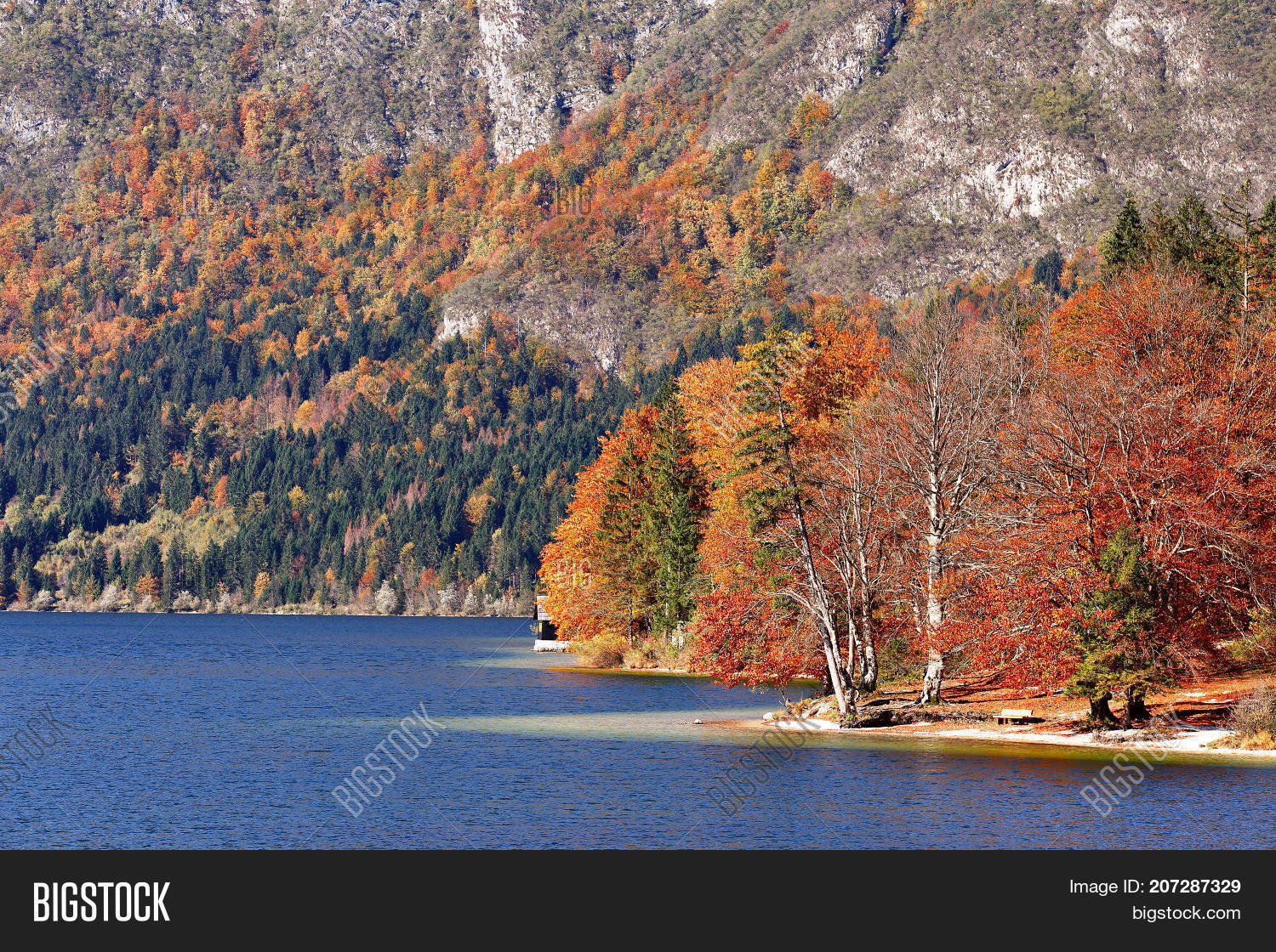 Colorful Autumn Lake Image & Photo (Free Trial) | Bigstock