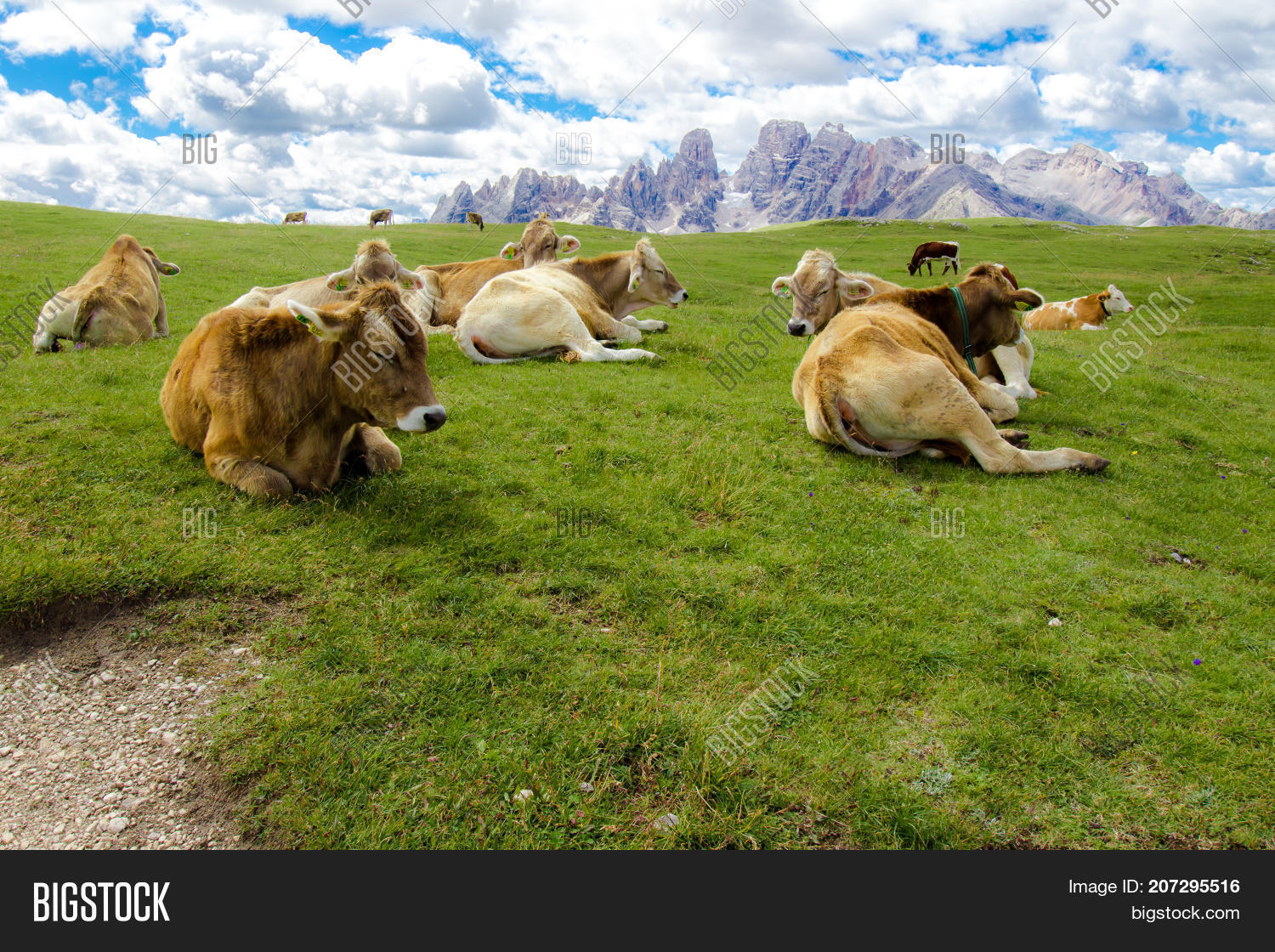 Prato Piazza Famous Image & Photo (Free Trial) | Bigstock