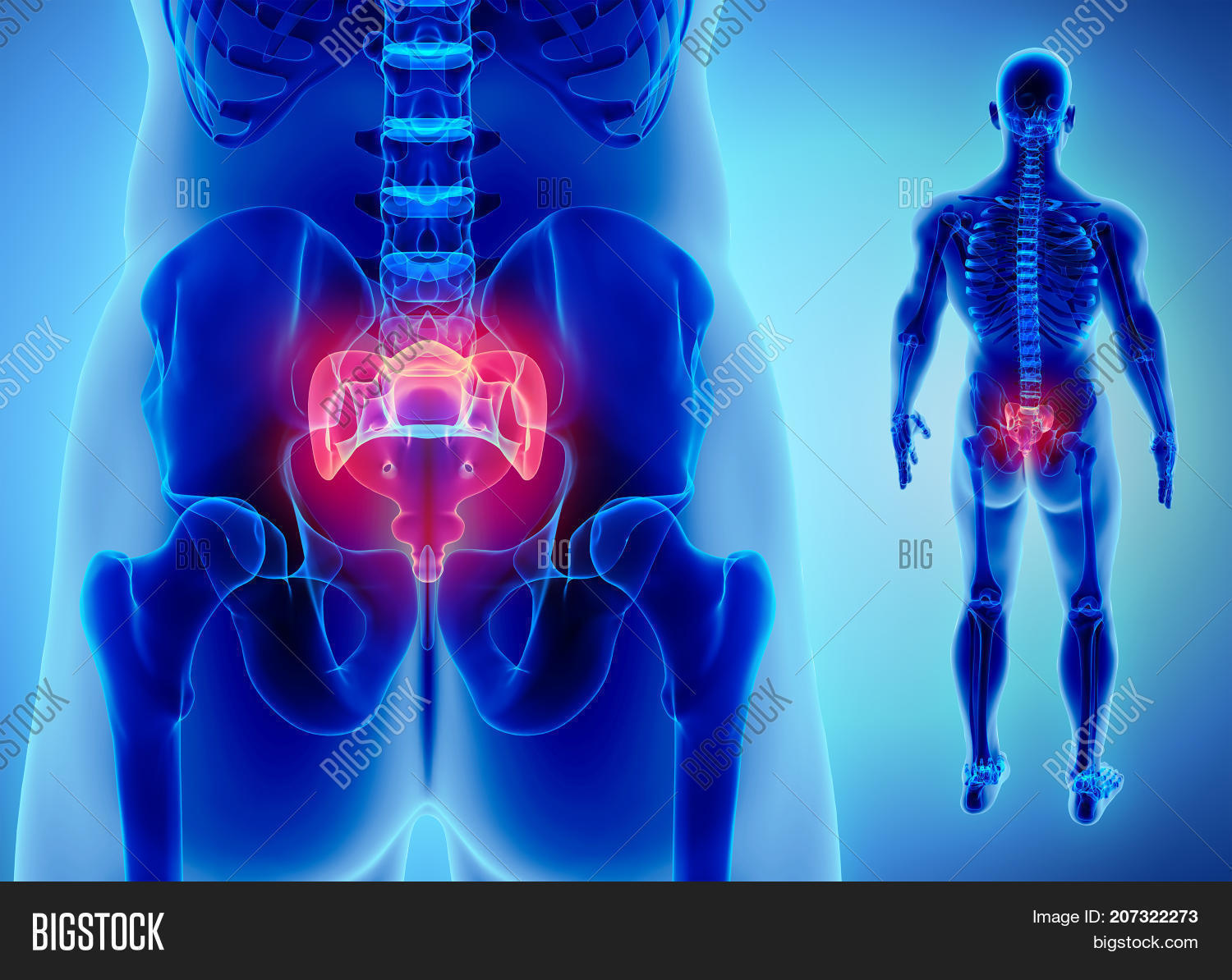 3D Illustration Sacral Image & Photo (Free Trial) | Bigstock