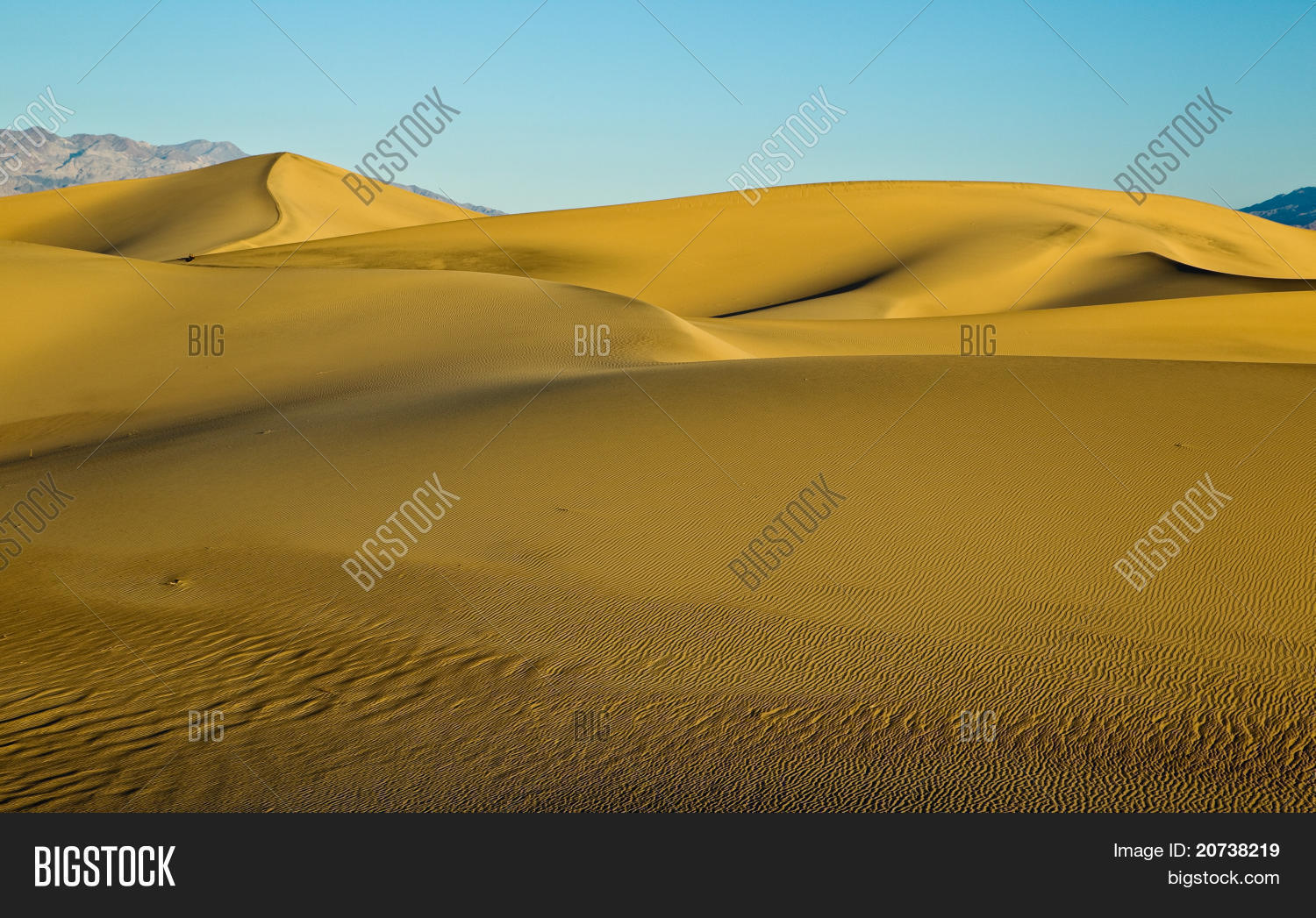 Mesquite Flat Sand Image & Photo (Free Trial) | Bigstock