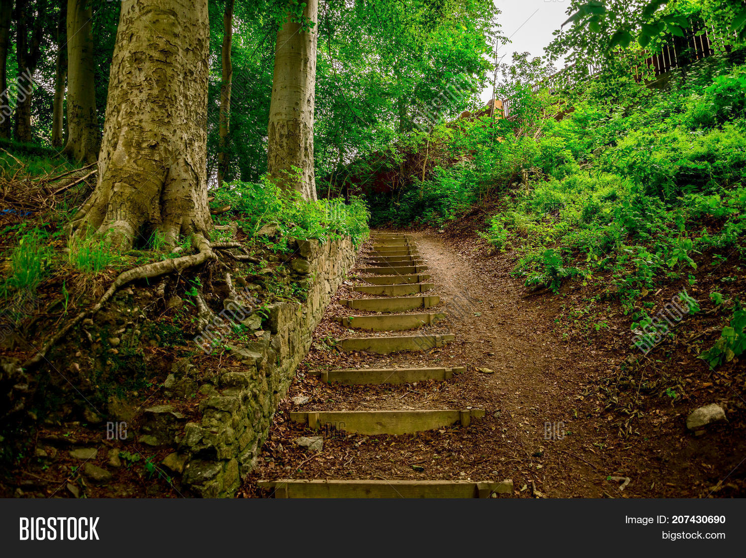Imagen y foto Steps Walk Hill (prueba gratis) | Bigstock