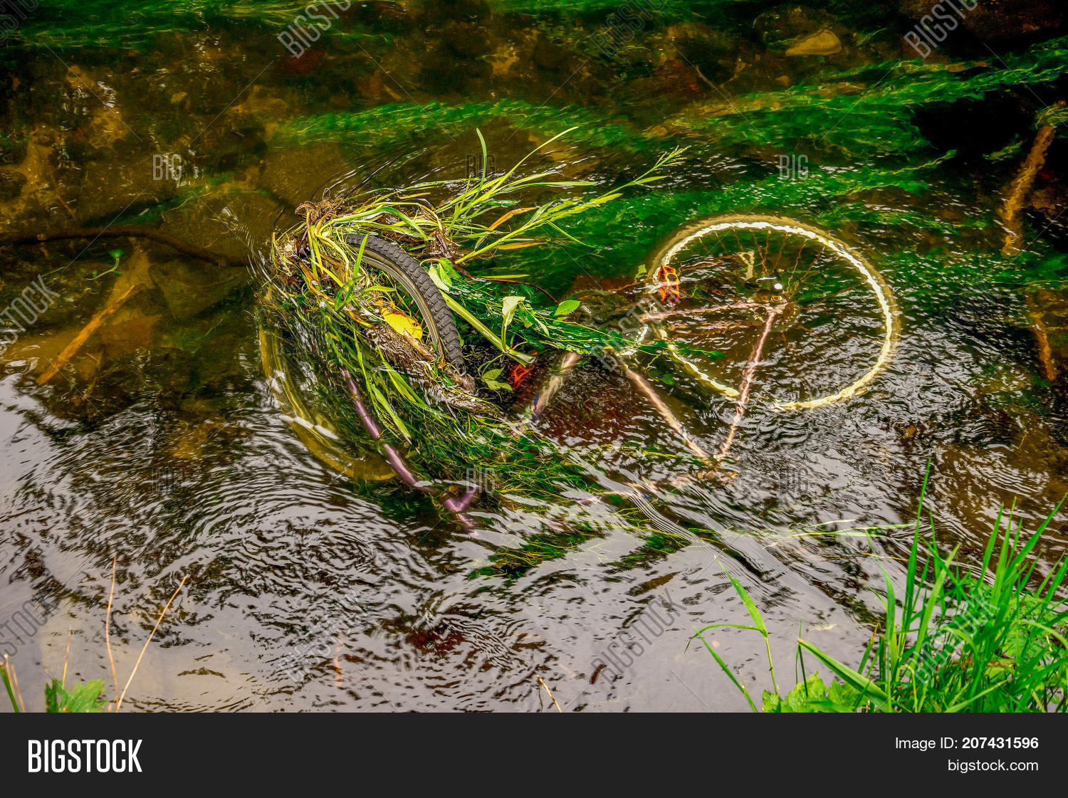 Sunken Bicycle Shallow Image & Photo (Free Trial) | Bigstock