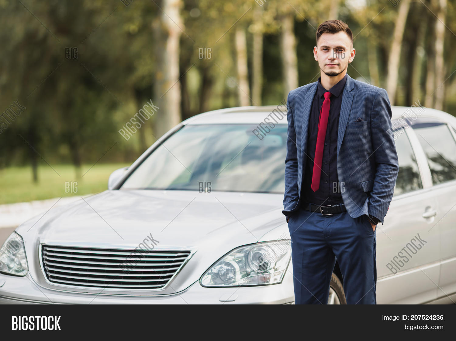 Successful Businessman Image & Photo (Free Trial) | Bigstock