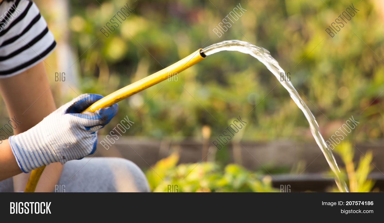 Splashing Water Hose Image & Photo (Free Trial) | Bigstock