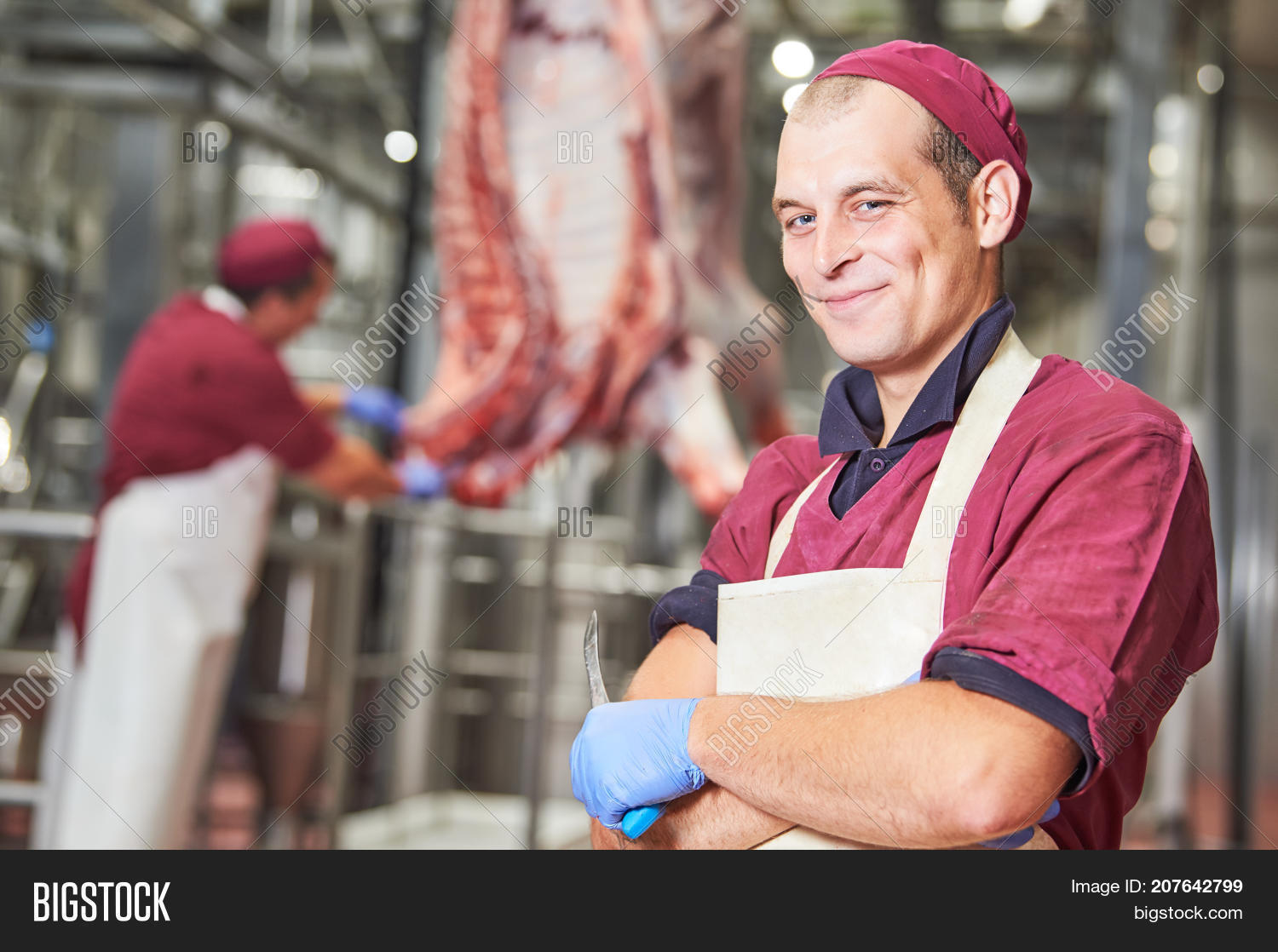 Meat Manufacturing Image & Photo (Free Trial) | Bigstock