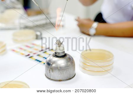 Microbiologist Burn Image & Photo (Free Trial) | Bigstock