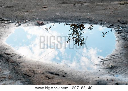 Water Puddle On Ground Image & Photo (Free Trial) | Bigstock