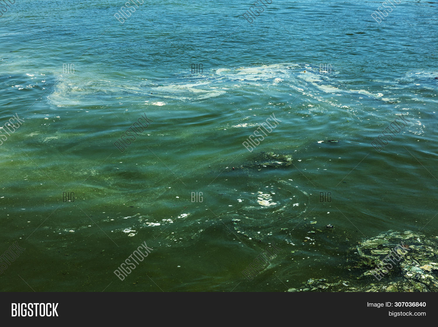 Imagen y foto Dirty Wave Old (prueba gratis) | Bigstock