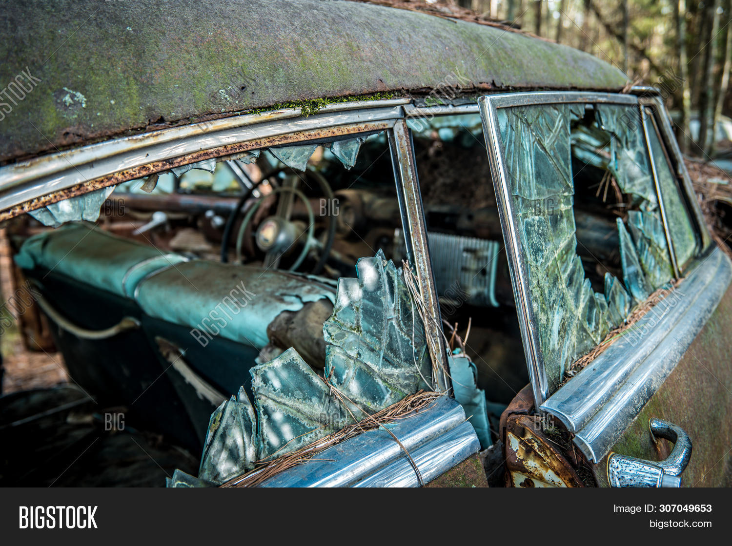 Old Decaying Car Image & Photo (Free Trial) | Bigstock