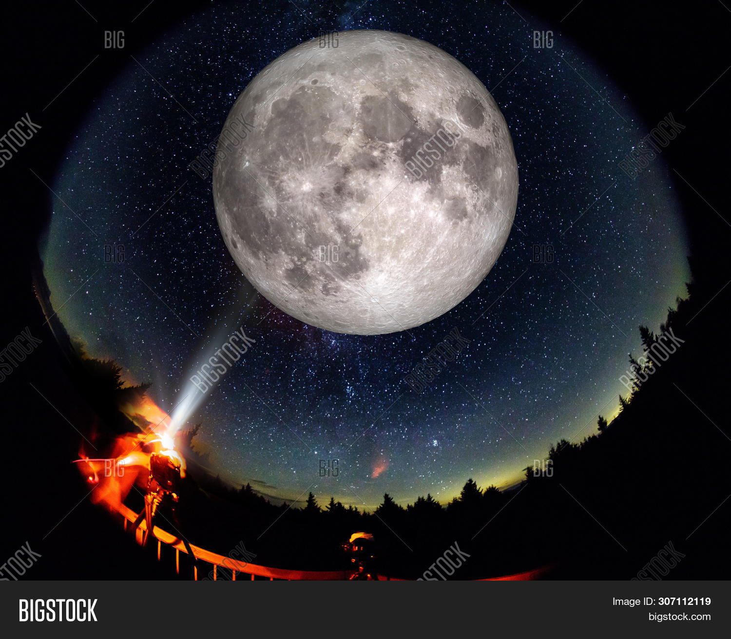 Full Moon Over Forest Image & Photo (Free Trial) | Bigstock