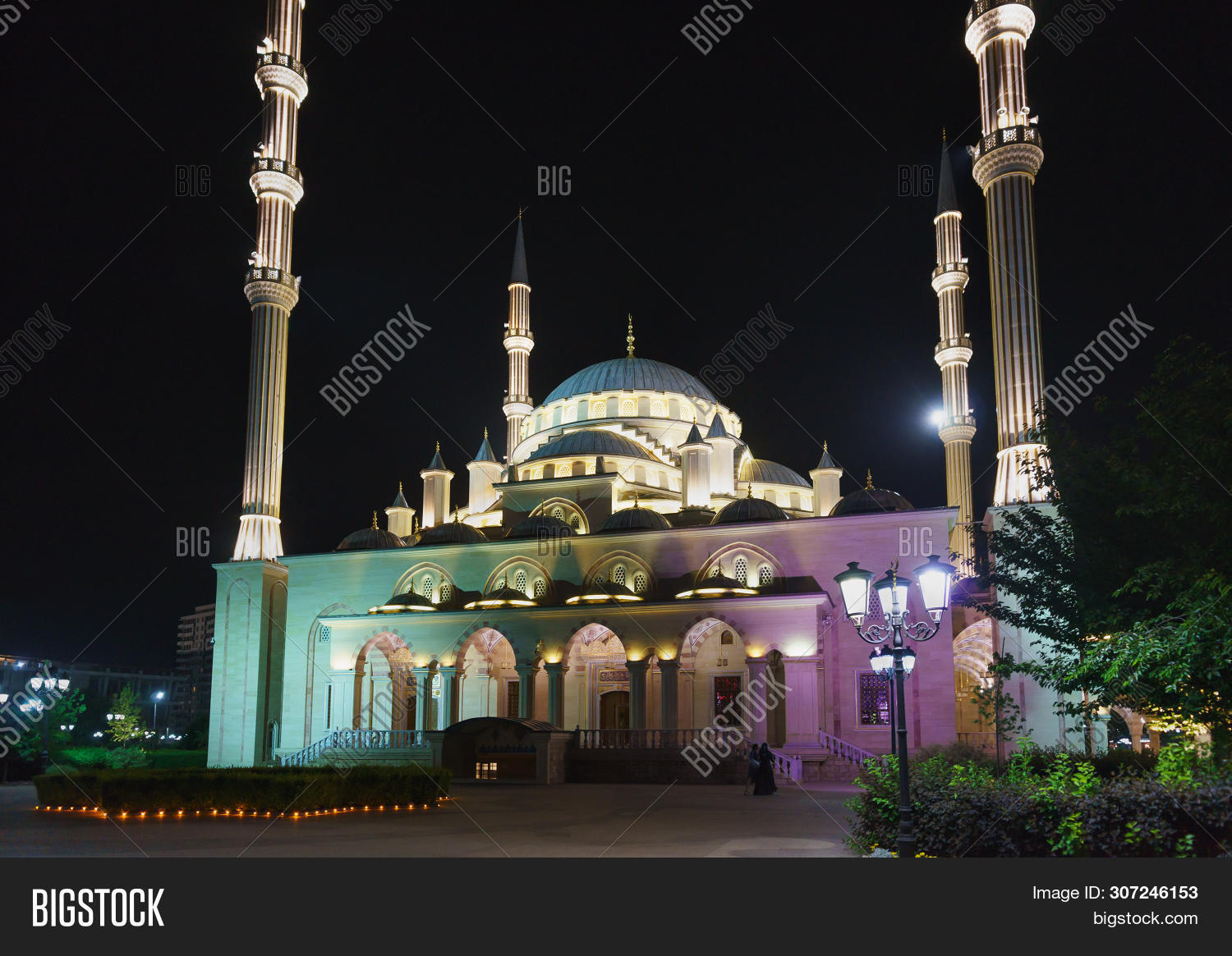 Heart Chechnya Mosque Image & Photo (Free Trial) | Bigstock