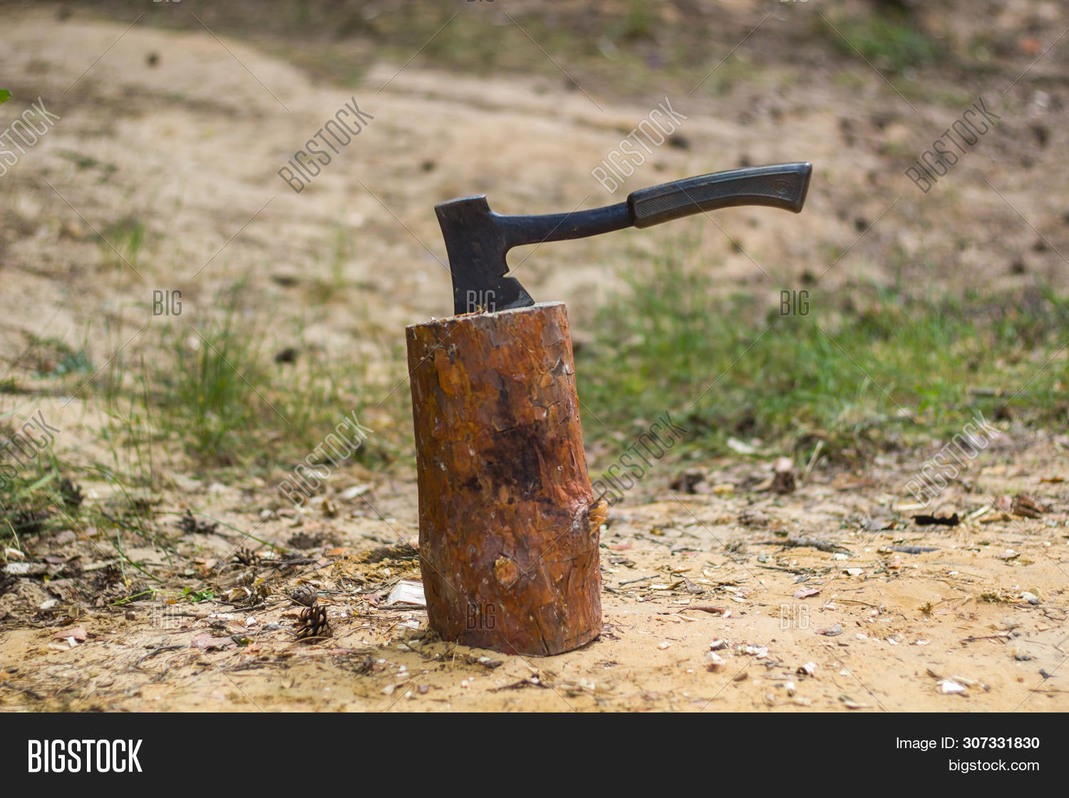 Ax Stuck Stump. Wooden Image & Photo (Free Trial) | Bigstock