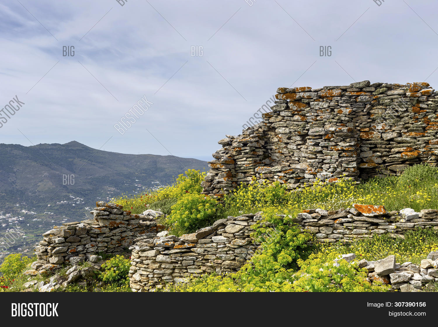 View Fragment Upper Image & Photo (Free Trial) | Bigstock