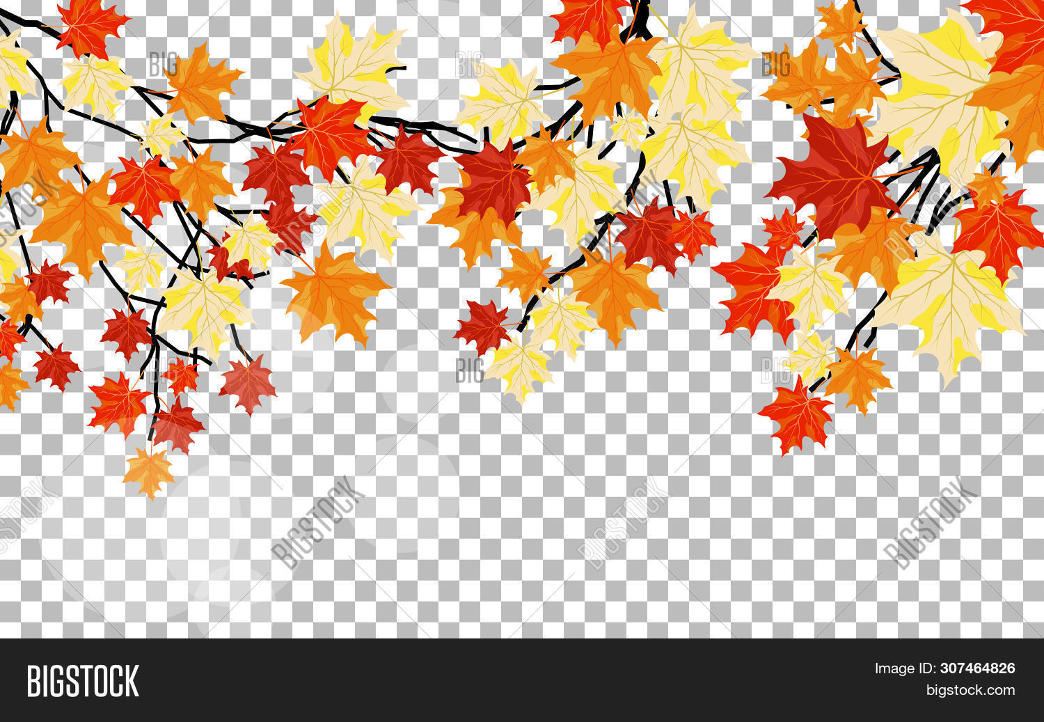 Falling Maple Leaves Vector & Photo (Free Trial) | Bigstock