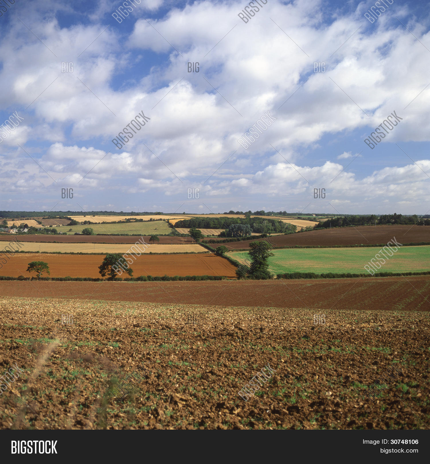Patchwork Countryside Image & Photo (Free Trial) | Bigstock