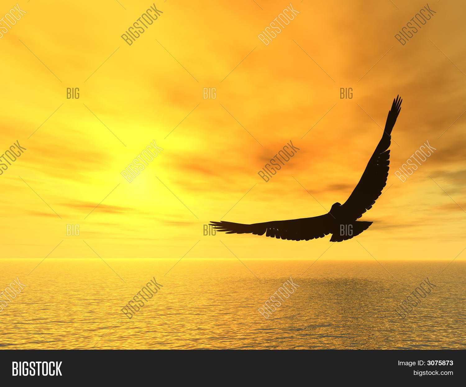 Soaring Eagle Image & Photo (Free Trial) | Bigstock