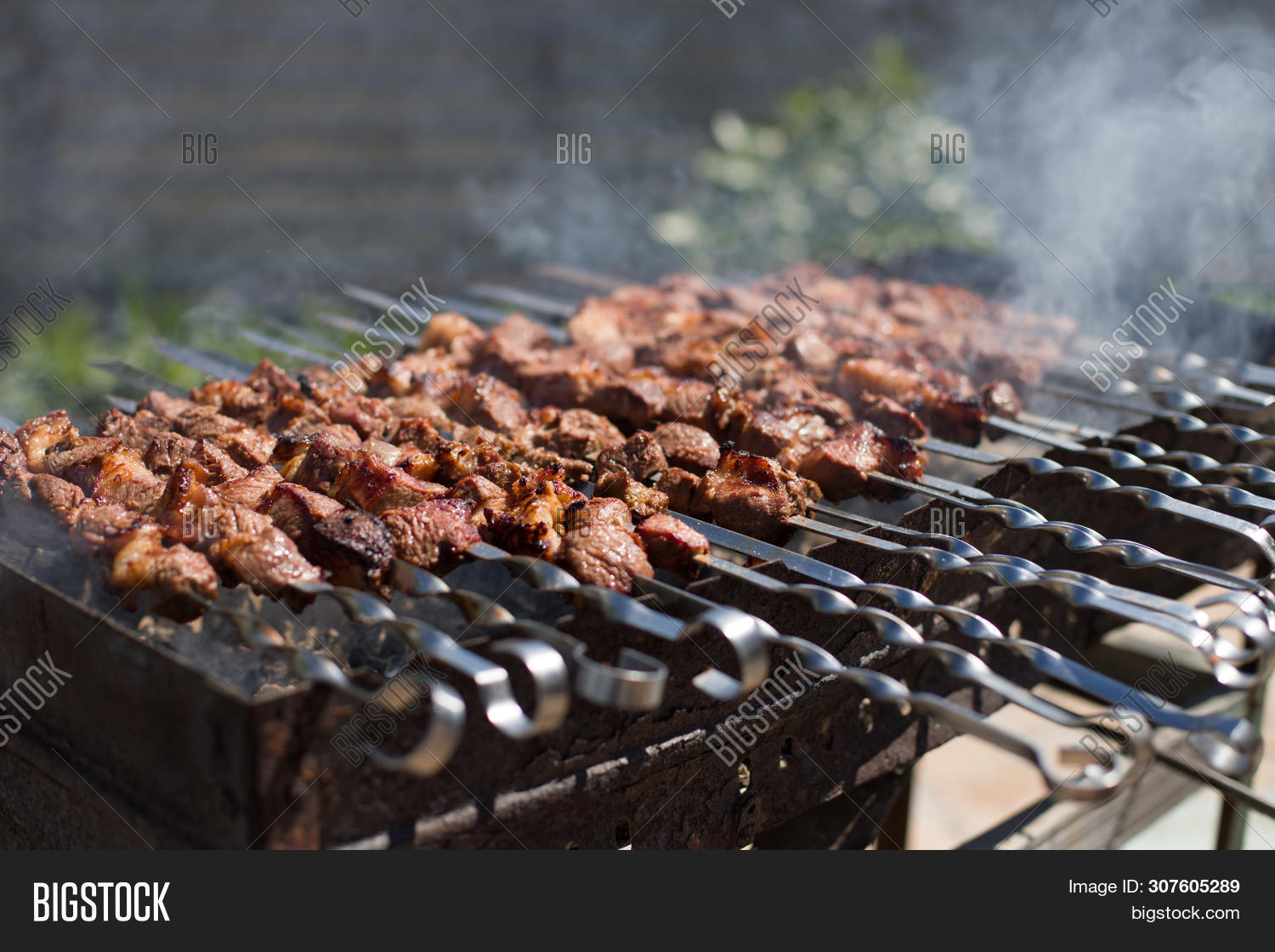 Meat On Skewers Image & Photo (Free Trial) | Bigstock