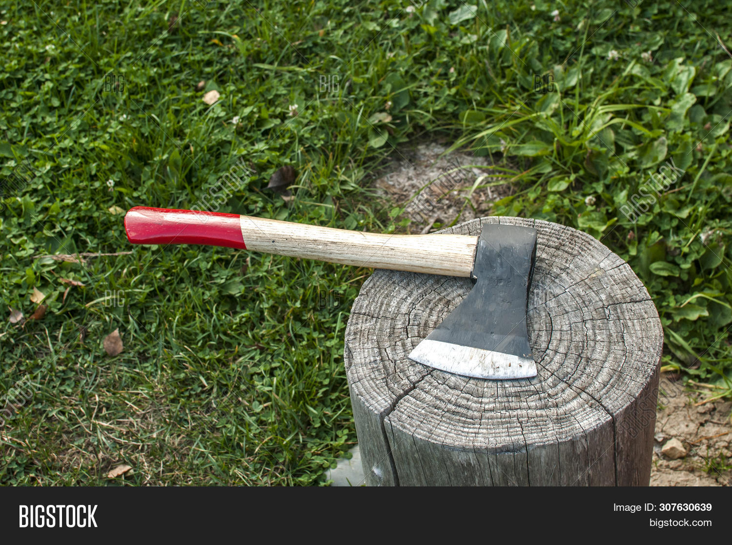 Blade Woodcutter Ax Image & Photo (Free Trial) | Bigstock