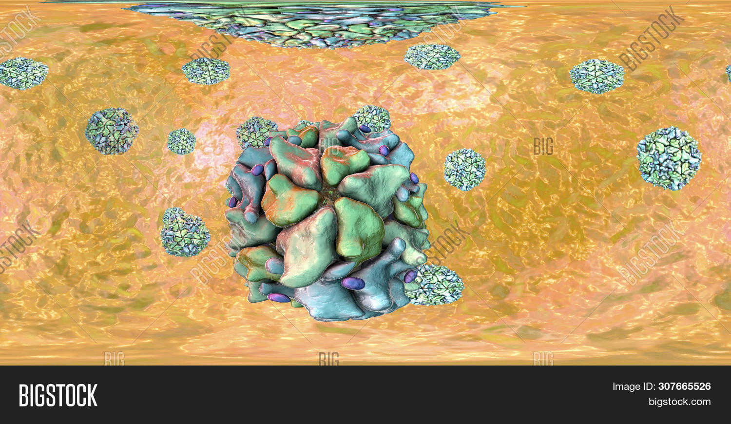 Polioviruses, 360 Image & Photo (Free Trial) | Bigstock