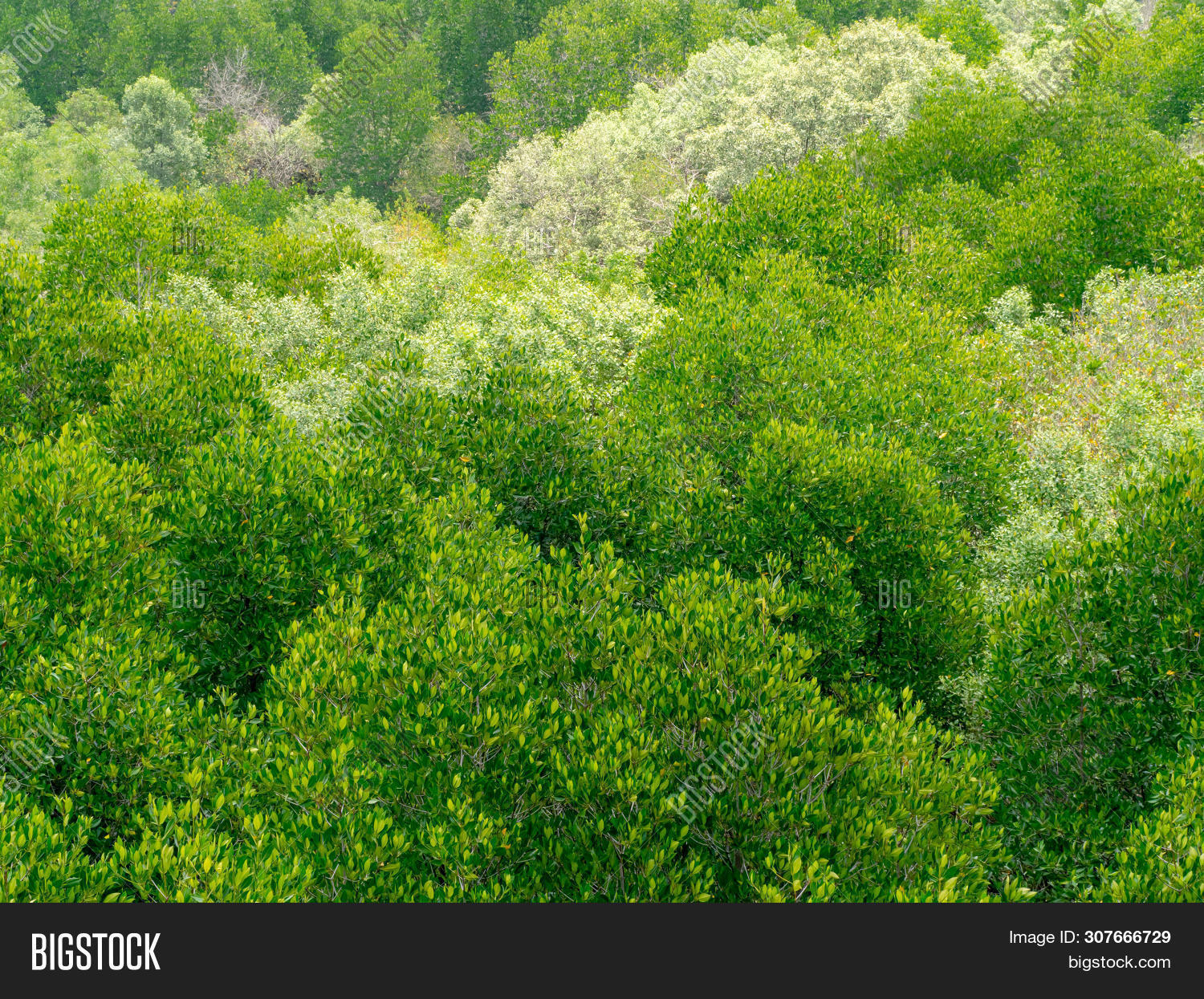 Perspective View Image & Photo (Free Trial) | Bigstock