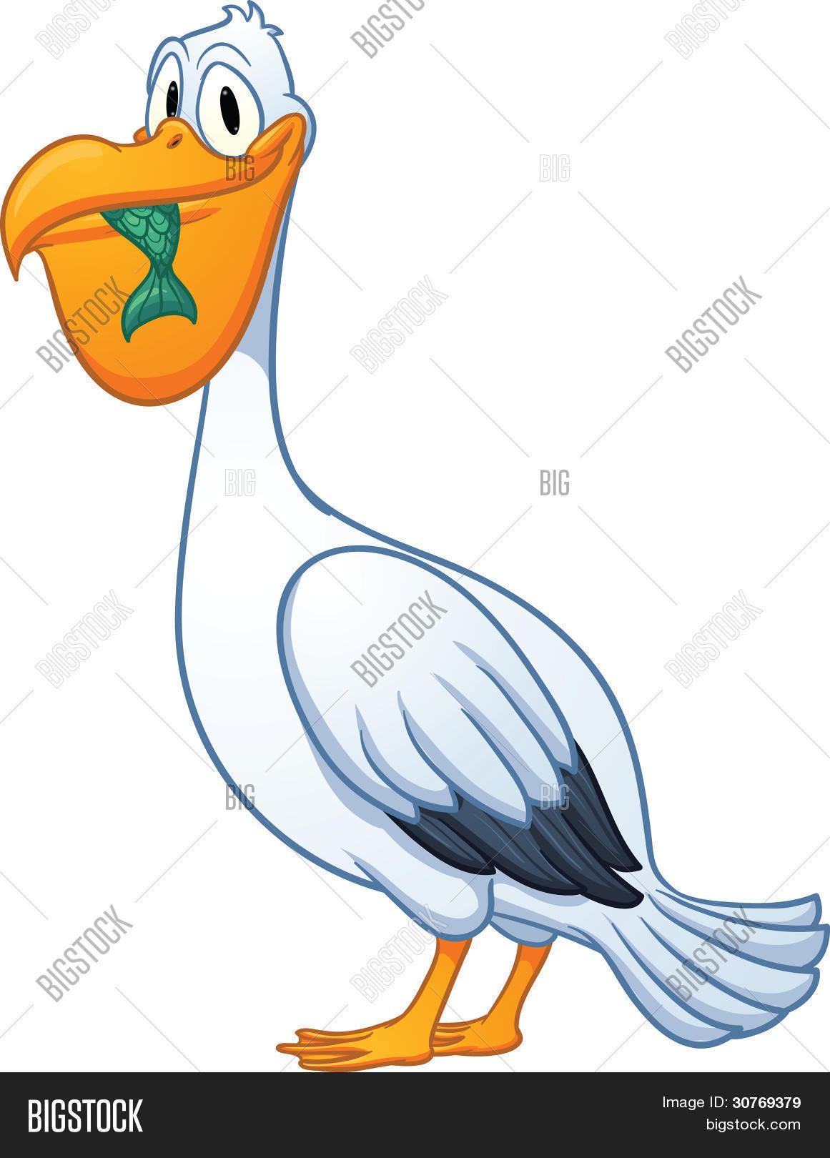 Cartoon Pelican Vector & Photo (Free Trial) | Bigstock