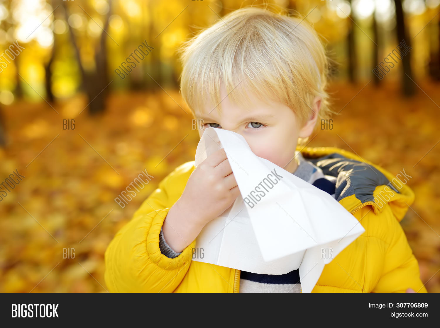 Little Boy Sneezing Image & Photo (Free Trial) | Bigstock