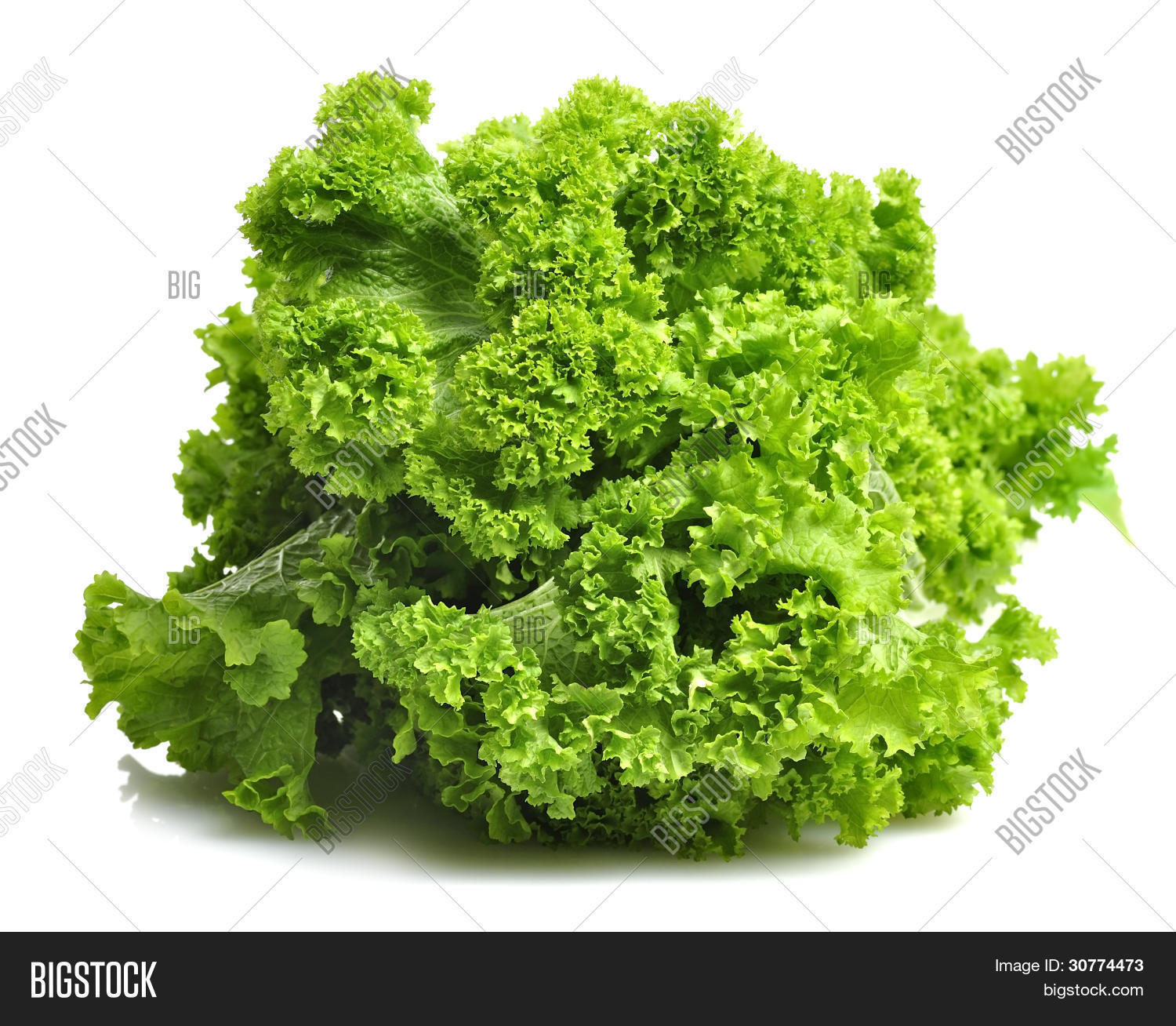 Fresh Curly Mustard Image & Photo (Free Trial) | Bigstock